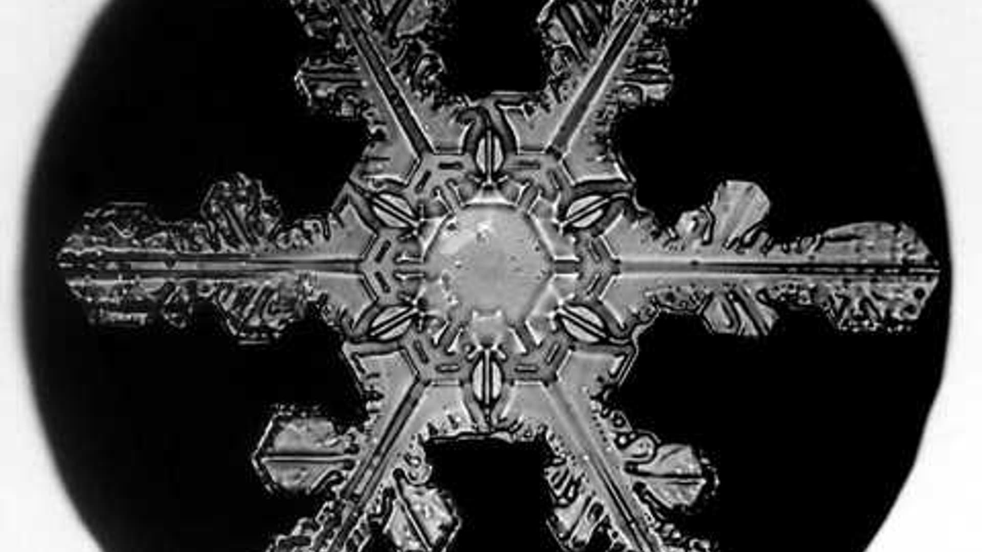 Wilson Bentley's Pioneering Snowflake Photography | Fox News