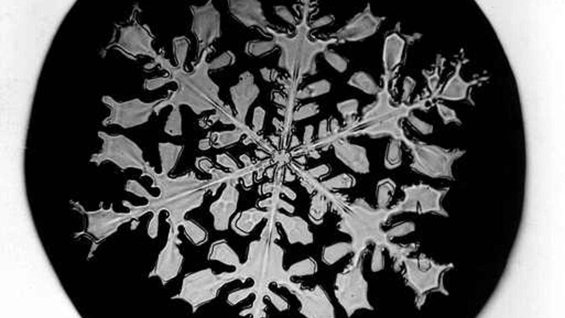 Wilson Bentley's Pioneering Snowflake Photography | Fox News