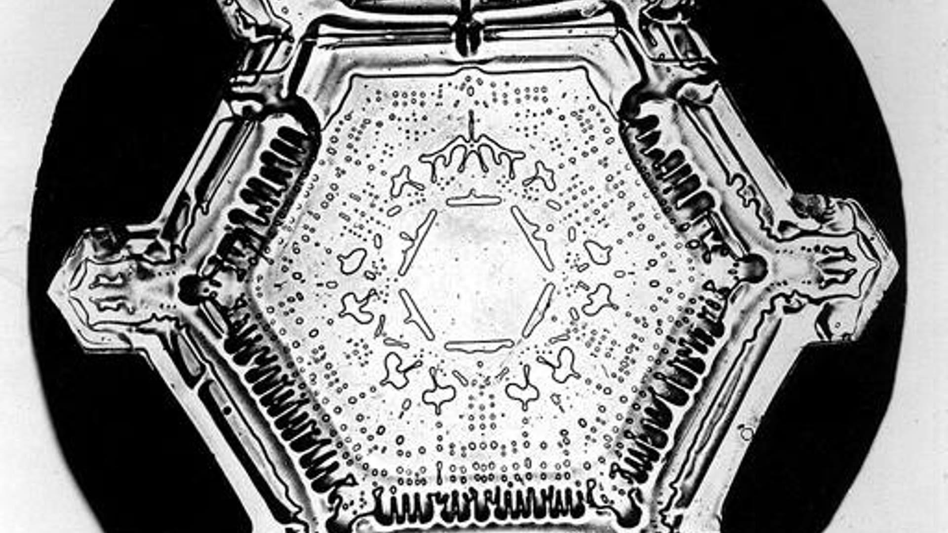 Wilson Bentley's Pioneering Snowflake Photography | Fox News