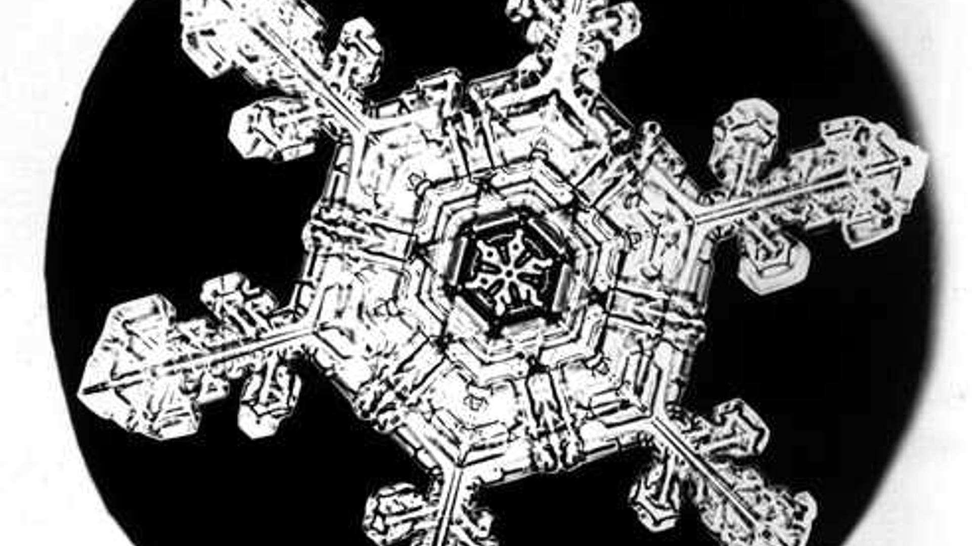 Wilson Bentley's Pioneering Snowflake Photography | Fox News