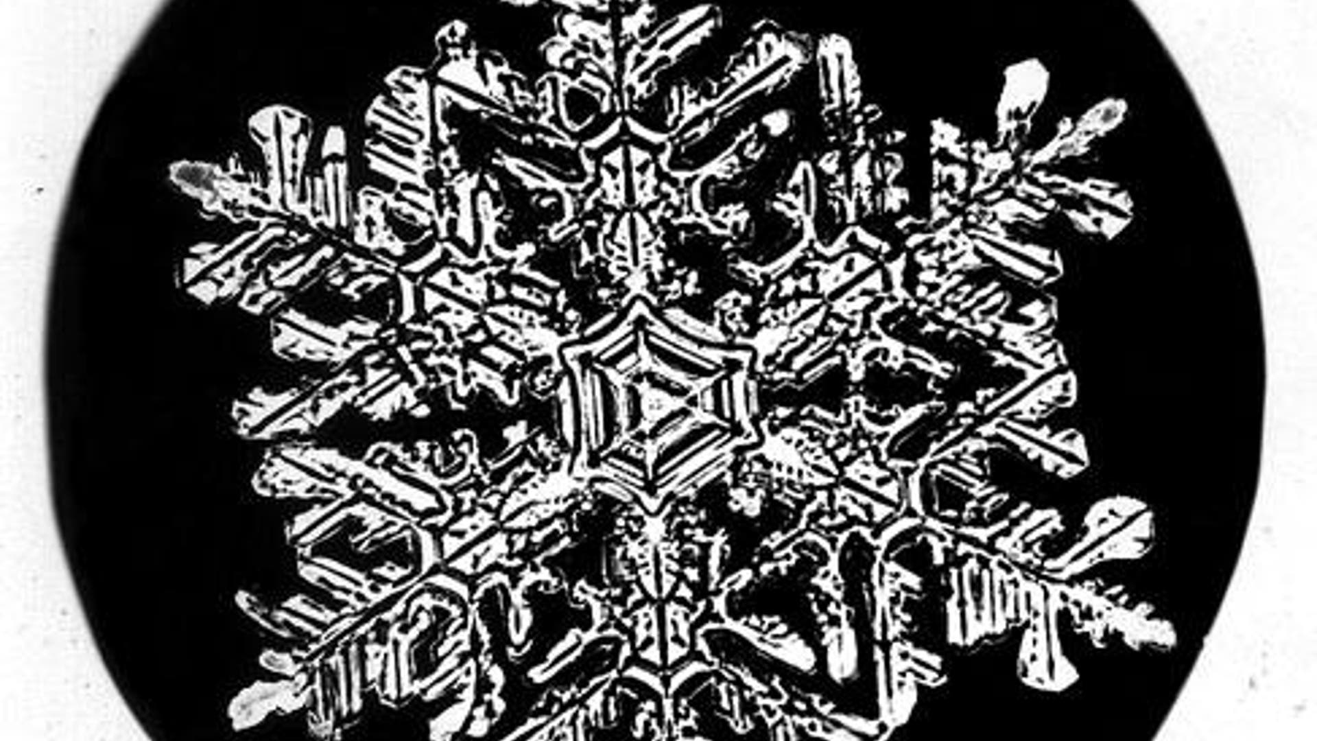 Wilson Bentley's Pioneering Snowflake Photography | Fox News