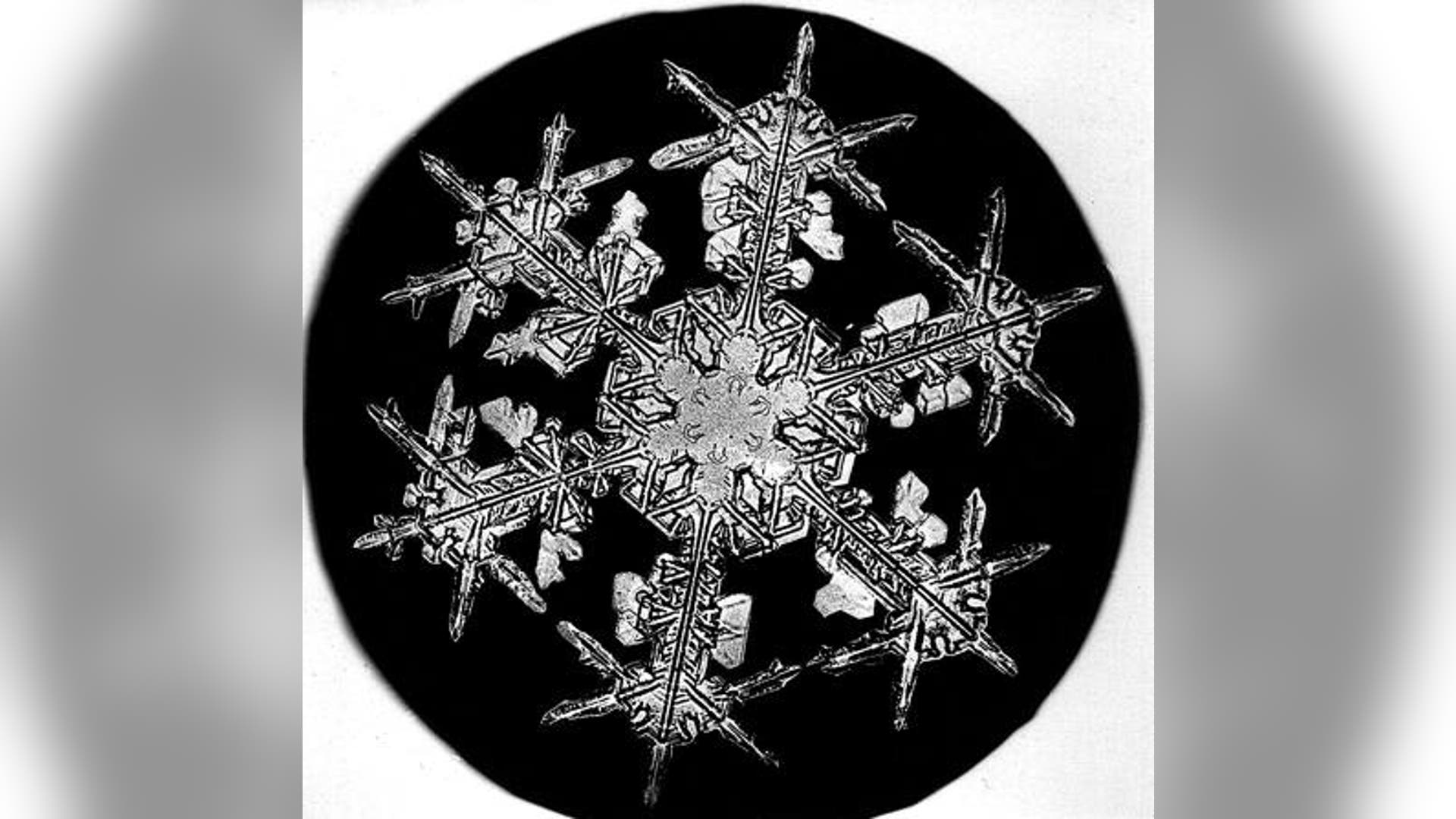 Wilson Bentley's Pioneering Snowflake Photography | Fox News