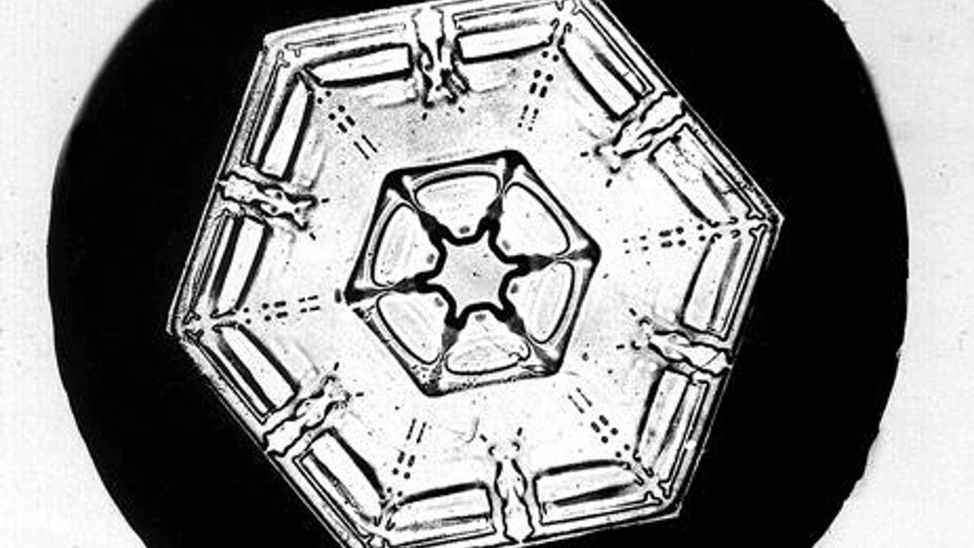 Wilson Bentley's Pioneering Snowflake Photography | Fox News