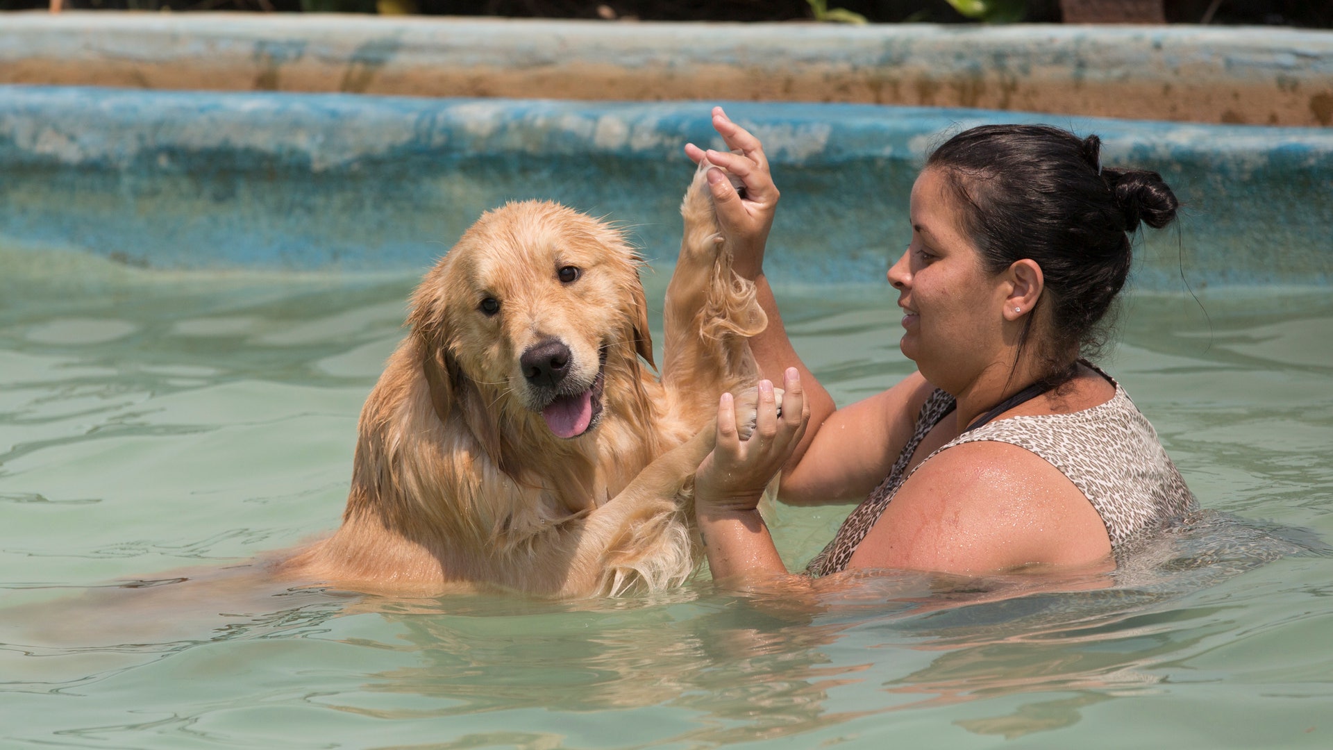 Rio de Janeiro shows that the Olympics have really gone to the dogs ...