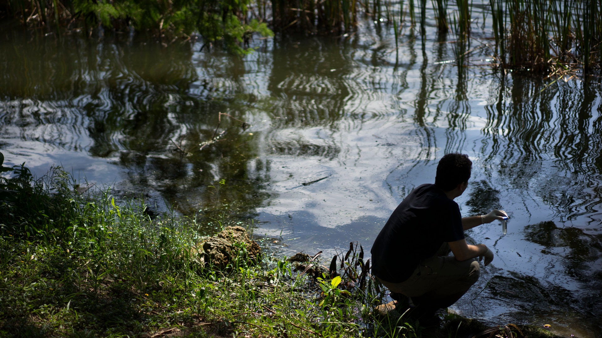Filthy Rio water threatens 2016 Olympics | Fox News