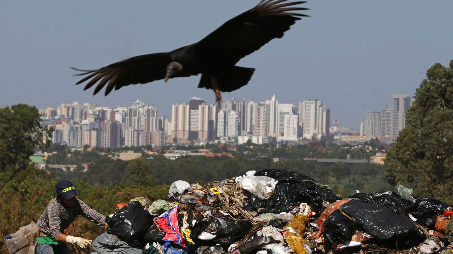 Trash pickers in Brazil worry about end of dump | Fox News