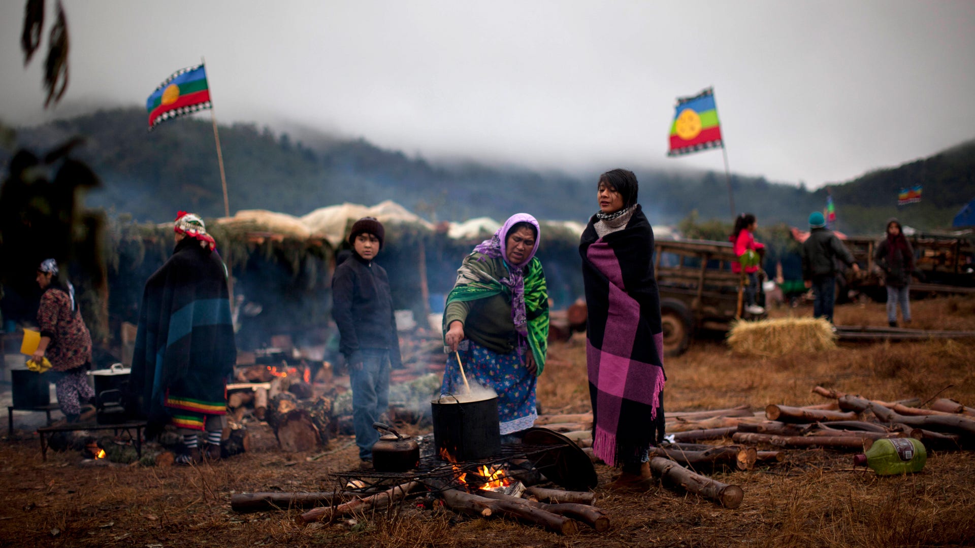 chile mapuche language panic