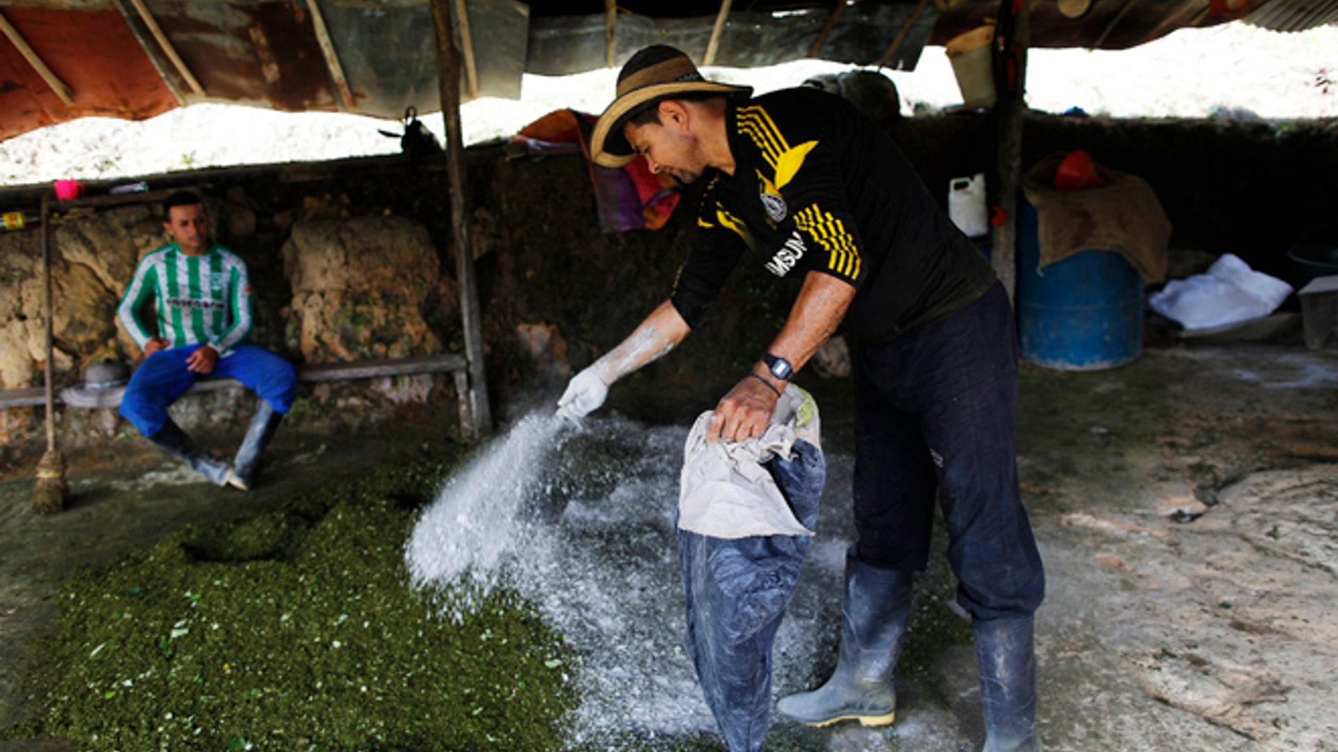 A look at coca paste production at small lab in mountains of Colombia ...