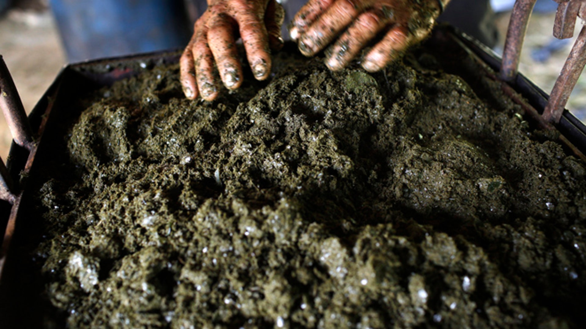 A look at coca paste production at small lab in mountains of Colombia ...