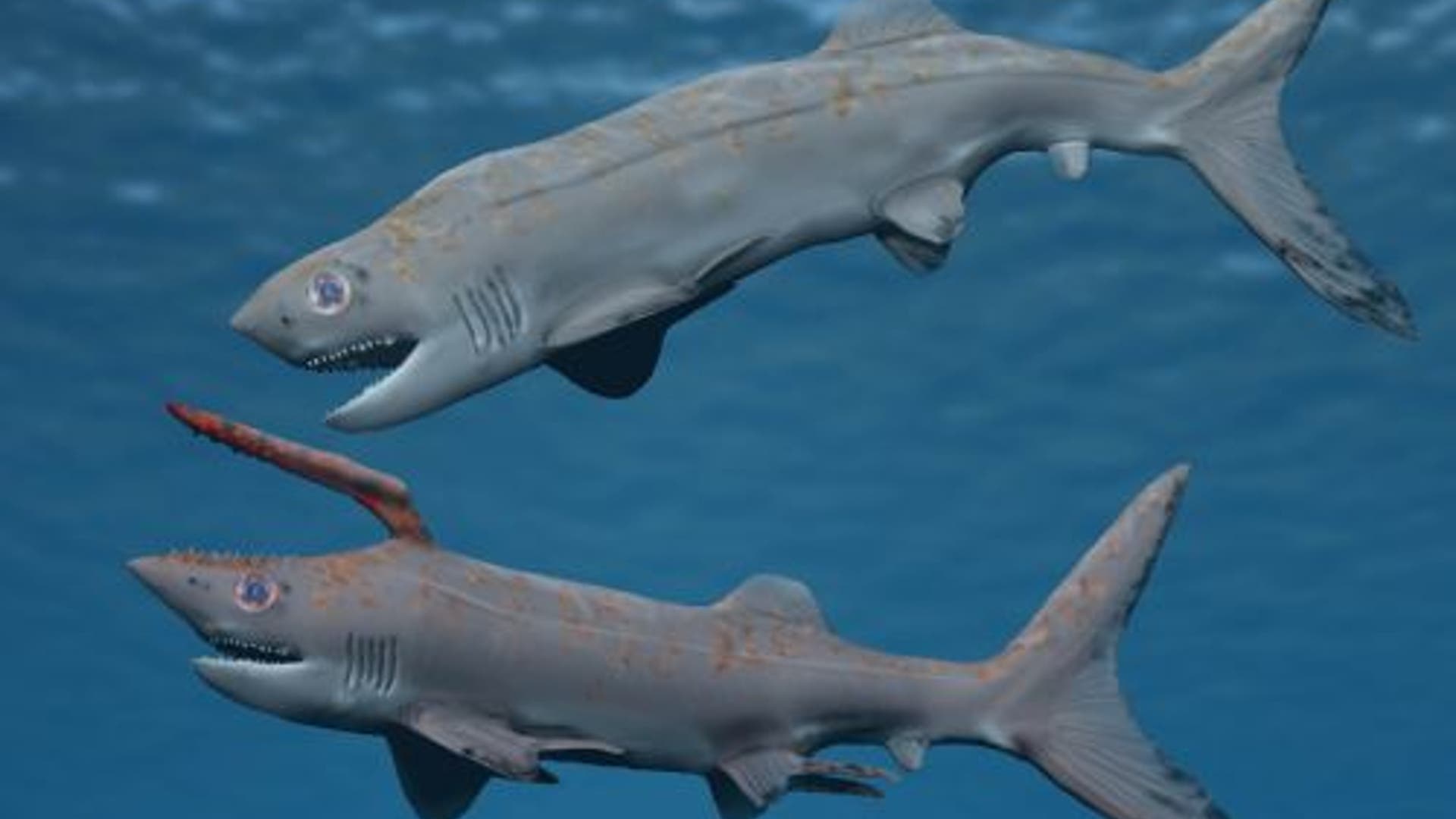 19 crazy critters from the cretaceous | Fox News