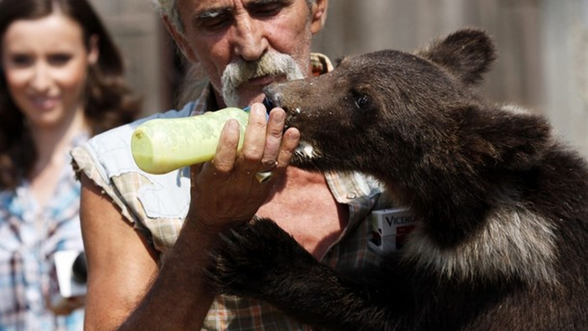 Polar to Panda: Bears, Worldwide | Fox News