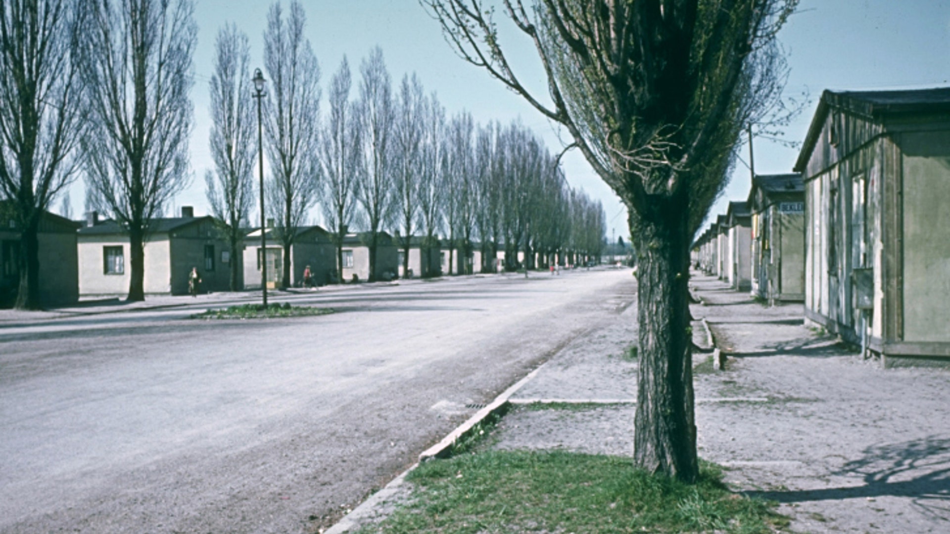 Ghosts in the sun: Hitler’s personal photographer at Dachau, 1950 | Fox ...