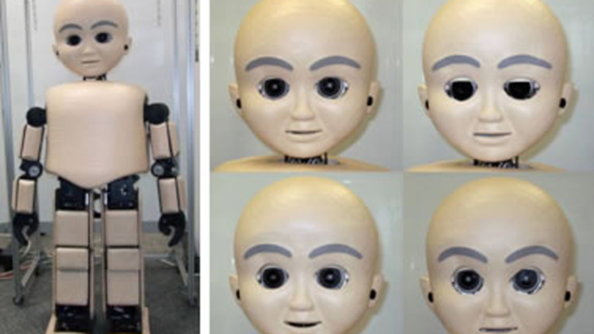 Androids, Inc.: Robots That Look Like Humans | Fox News