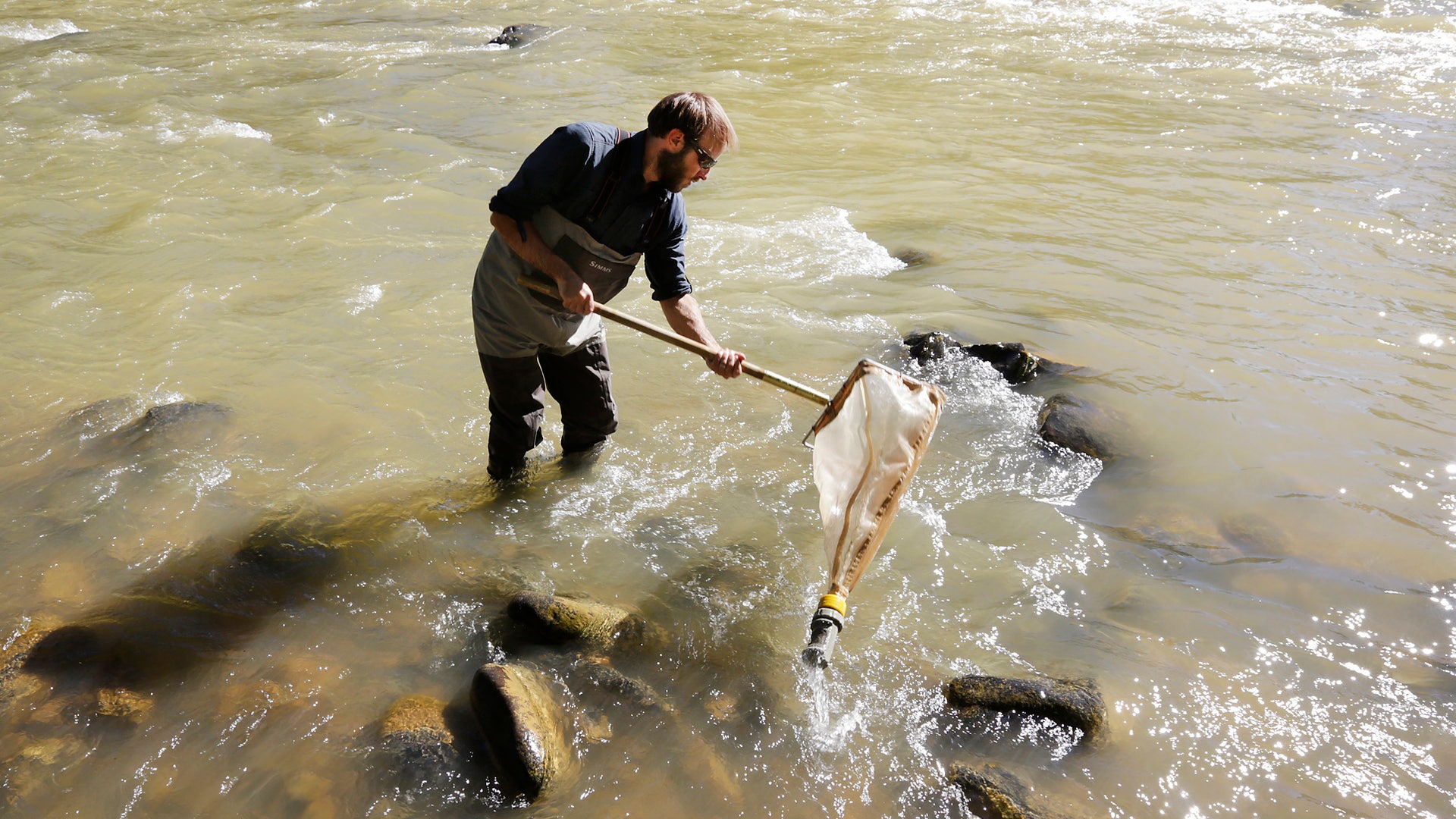 A river runs yellow: Mine waste colors the Animas River | Fox News