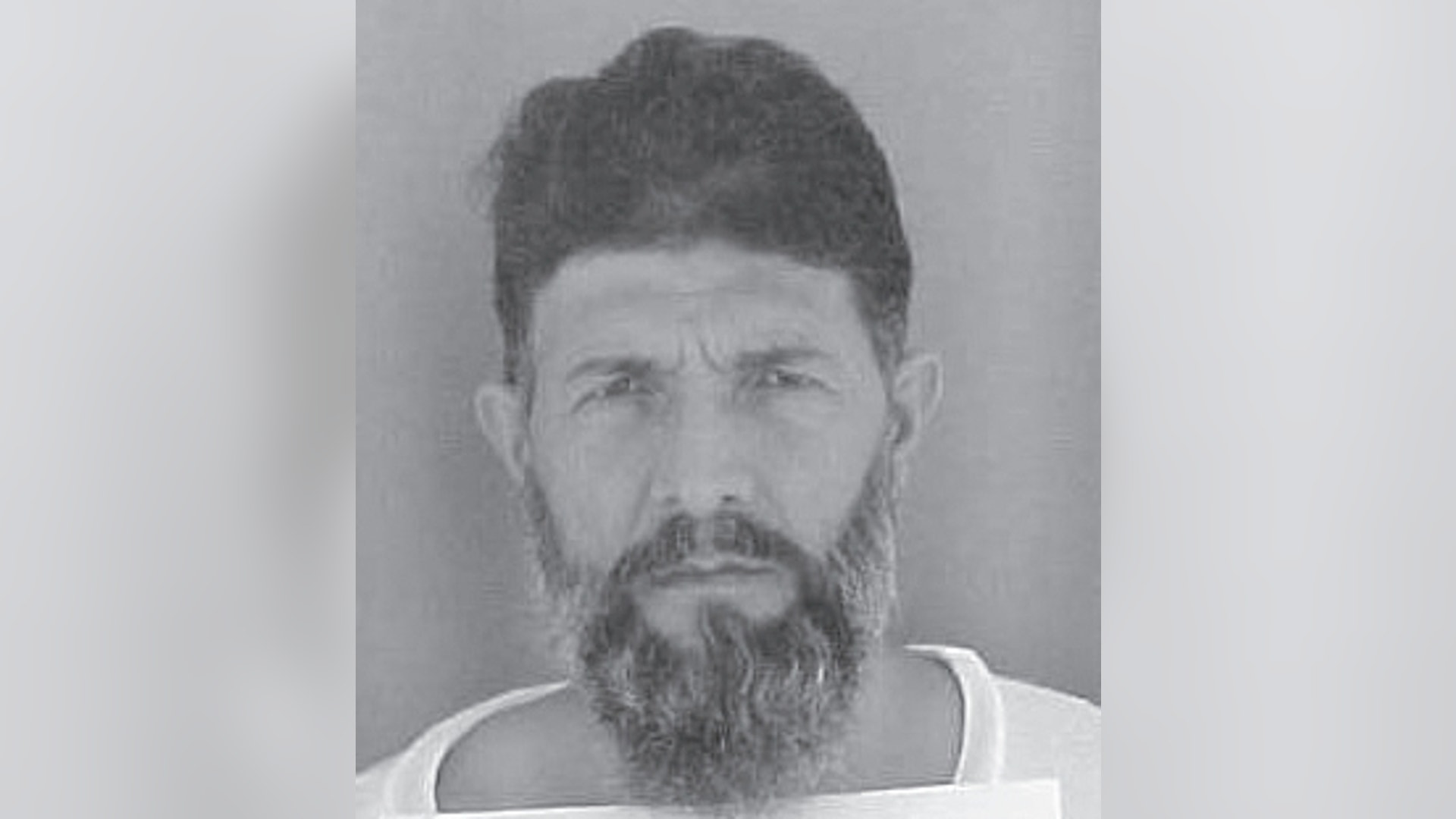 Gitmo Grads | Fox News