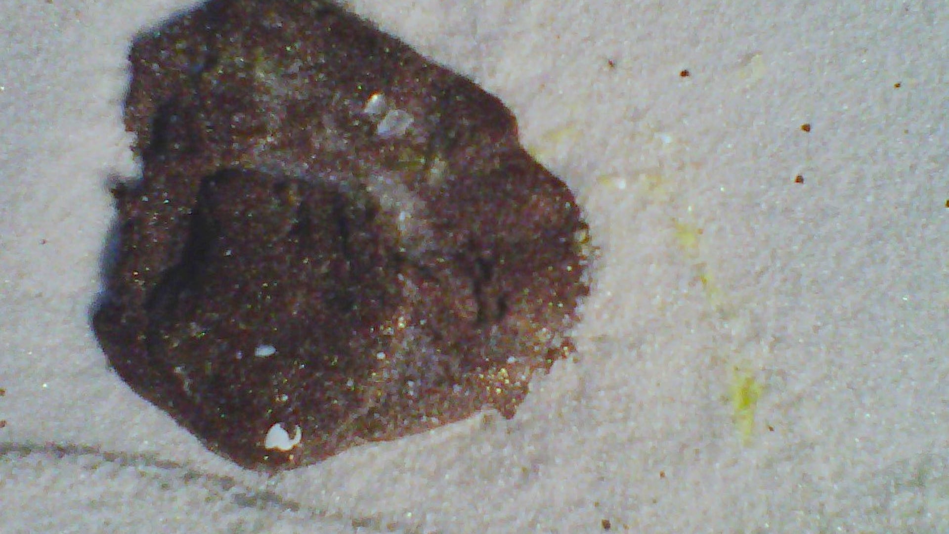 Oil Hits Okaloosa Island | Fox News