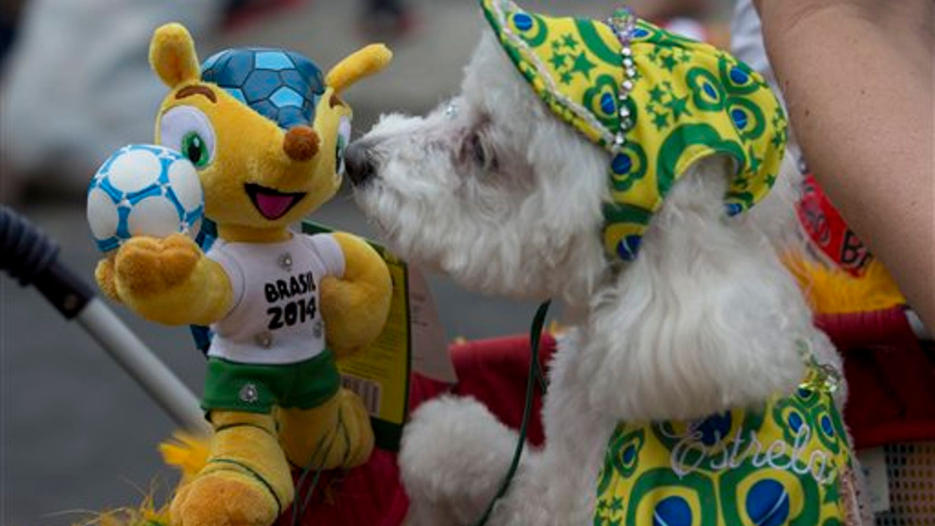 Carnival For Puppies: Rio's Dogs Get A Parade | Fox News