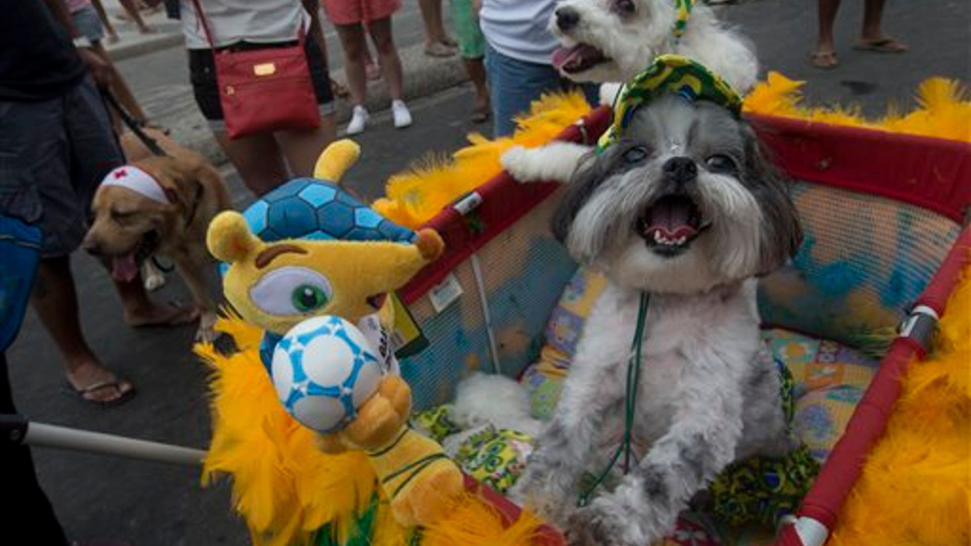 Carnival For Puppies: Rio's Dogs Get A Parade | Fox News
