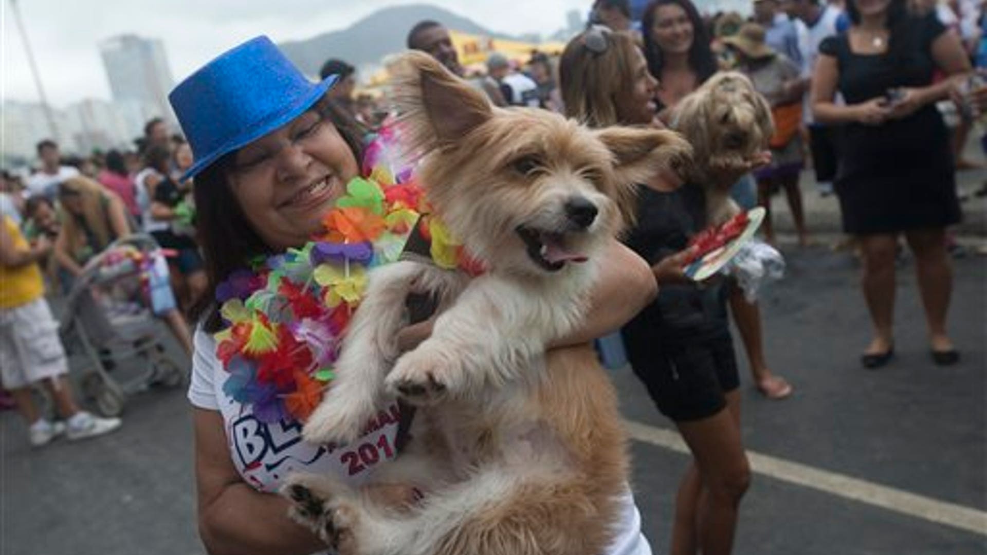 Carnival For Puppies: Rio's Dogs Get A Parade | Fox News