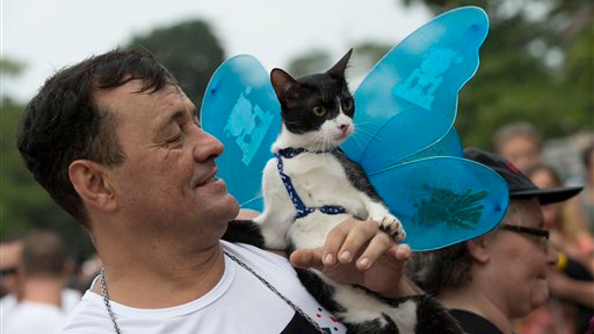 Carnival For Puppies: Rio's Dogs Get A Parade | Fox News