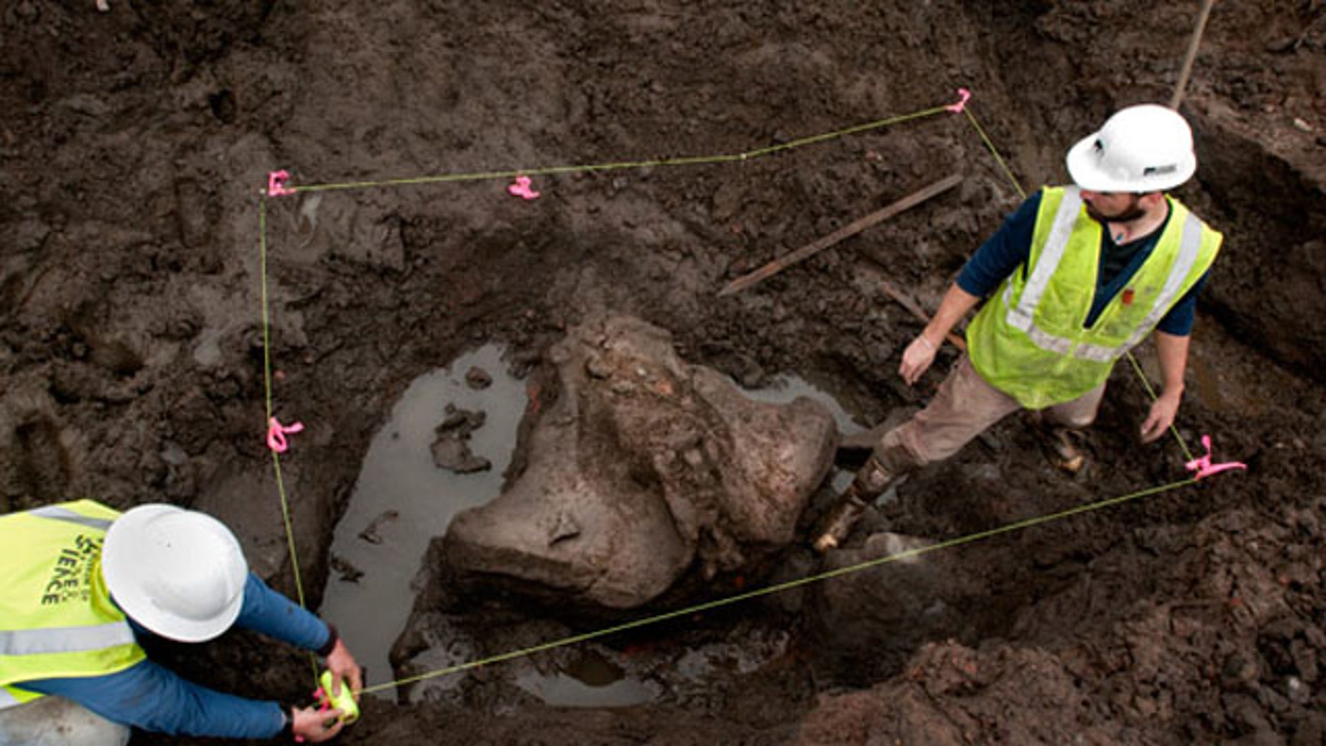 Remarkable Fossil Discoveries at 'Snowmastodon' Dig in Denver | Fox News