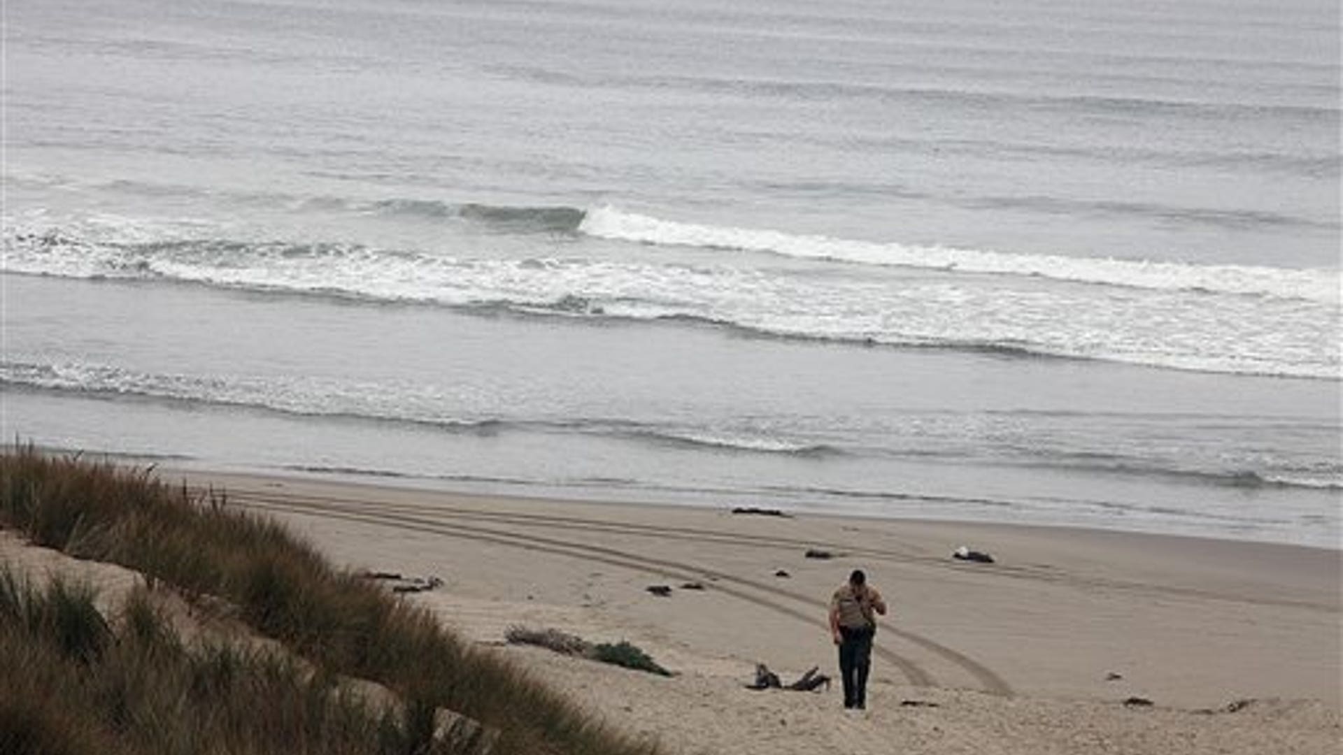 Man Versus Shark | Fox News