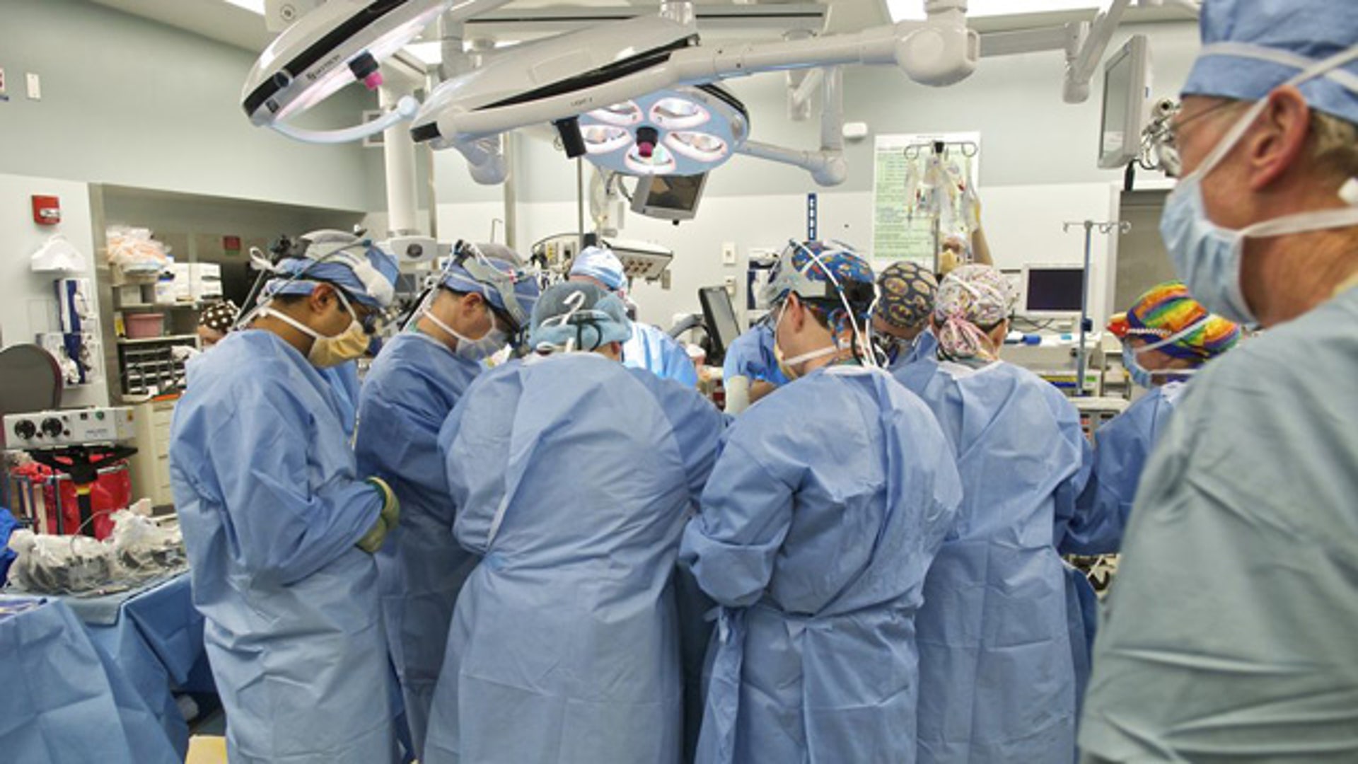 Chimp Attack Victim Gets New Face | Fox News