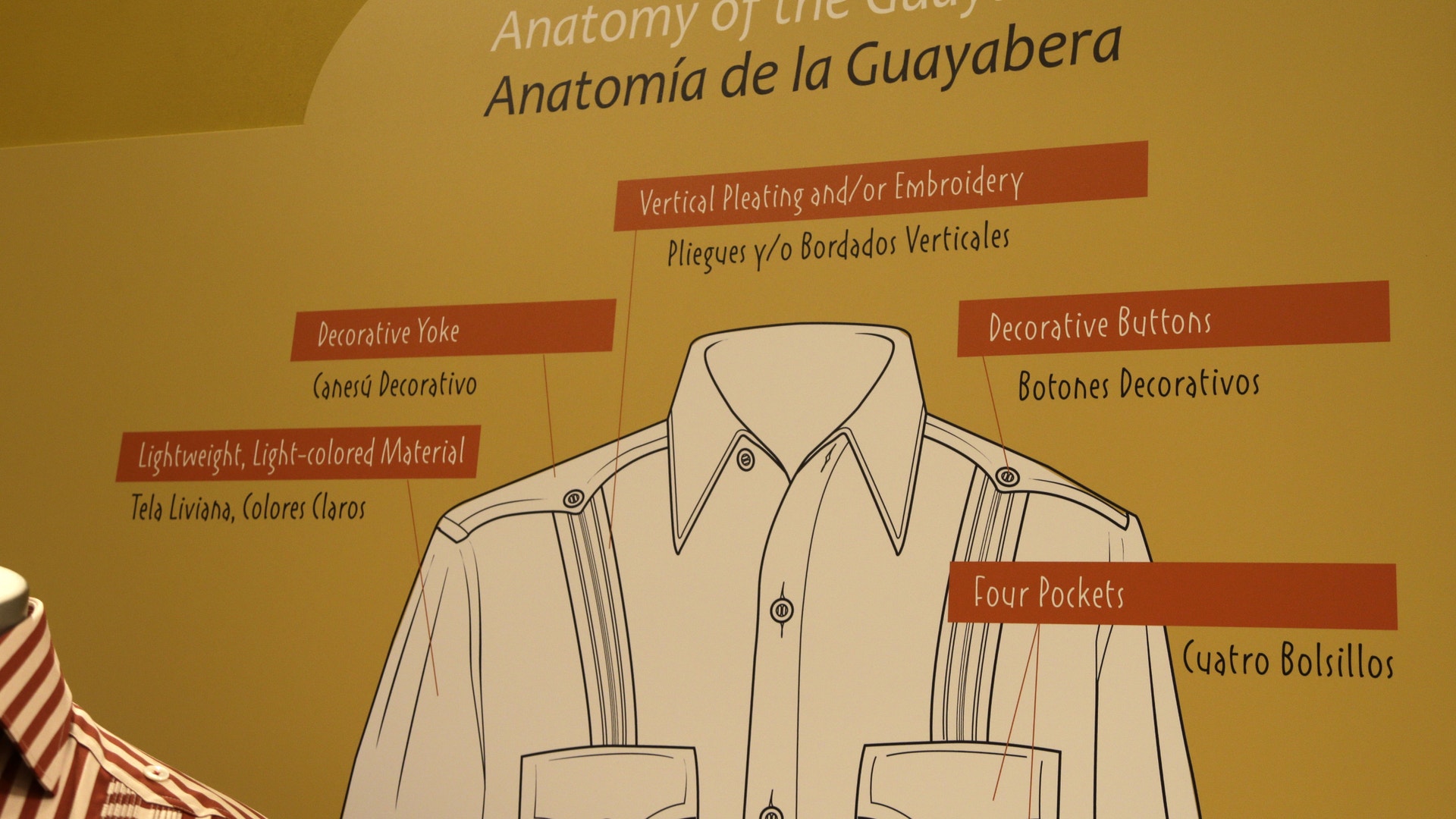 History of the Guayabera | Fox News