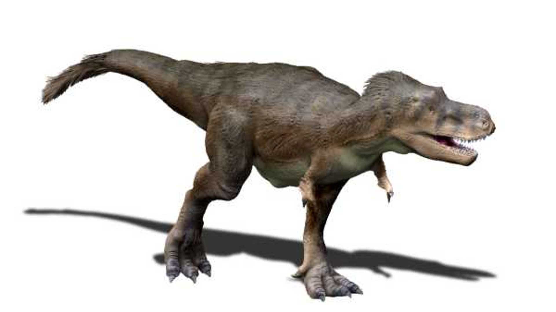 19 crazy critters from the cretaceous | Fox News