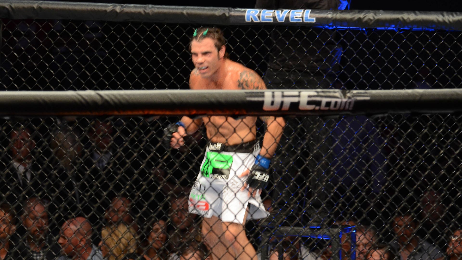 UFC on FX 4 - The Bully vs. The Carpenter | Fox News