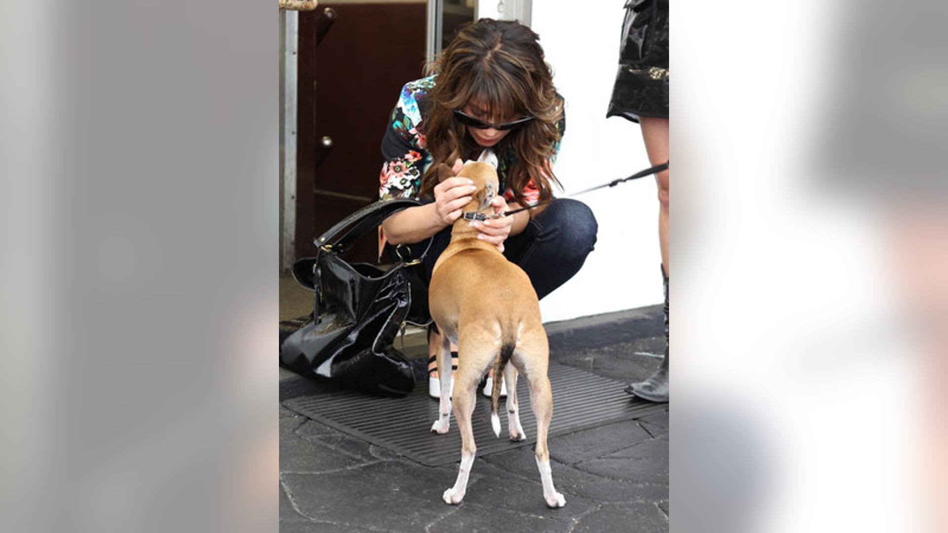 Celebrities: Cat people or dog people? | Fox News