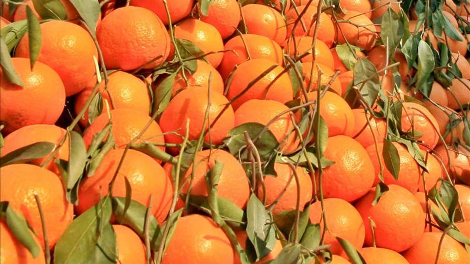 7 sneaky foods (and drinks) | Fox News