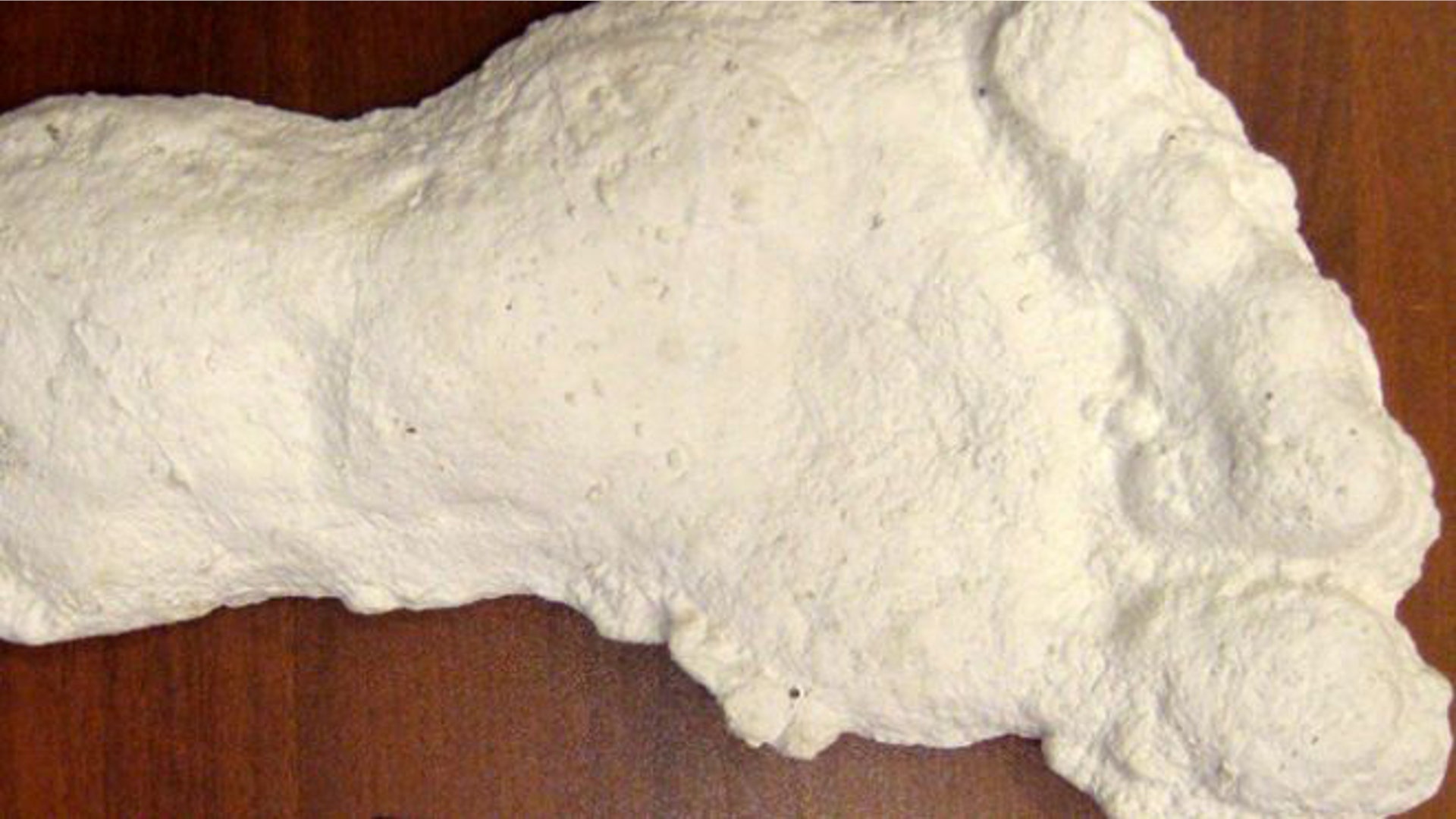 Mythical creatures that continue to confound | Fox News