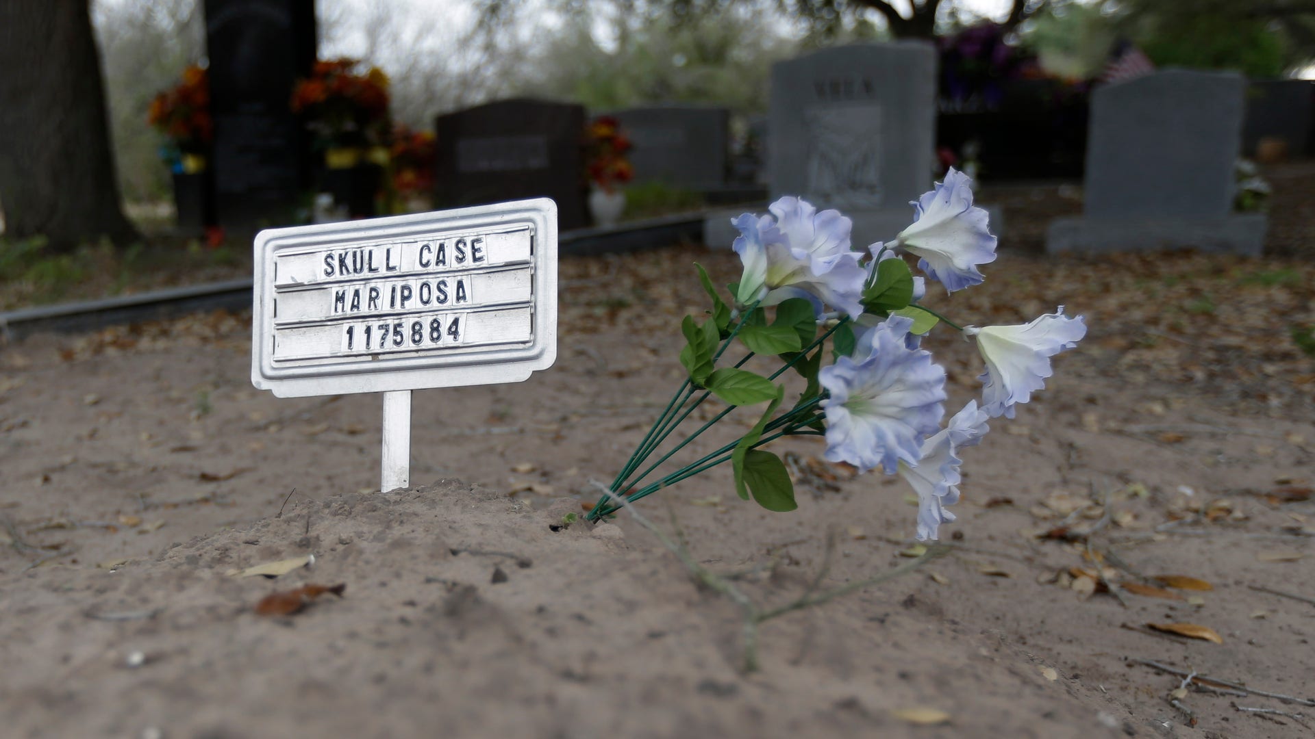 At Arizona's Border Morgue, Bodies Keep Coming | Fox News