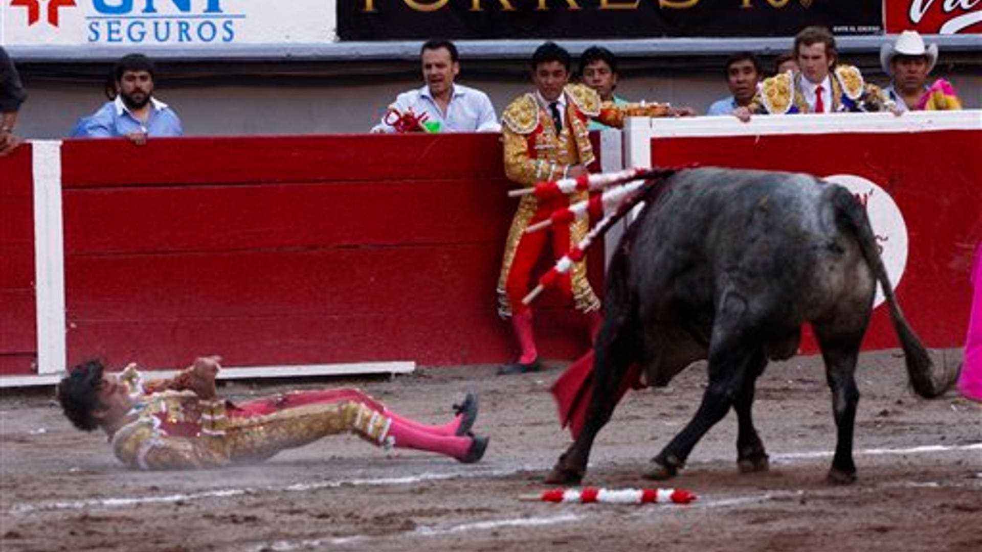 Matador Critically Injured at Bullfight | Fox News