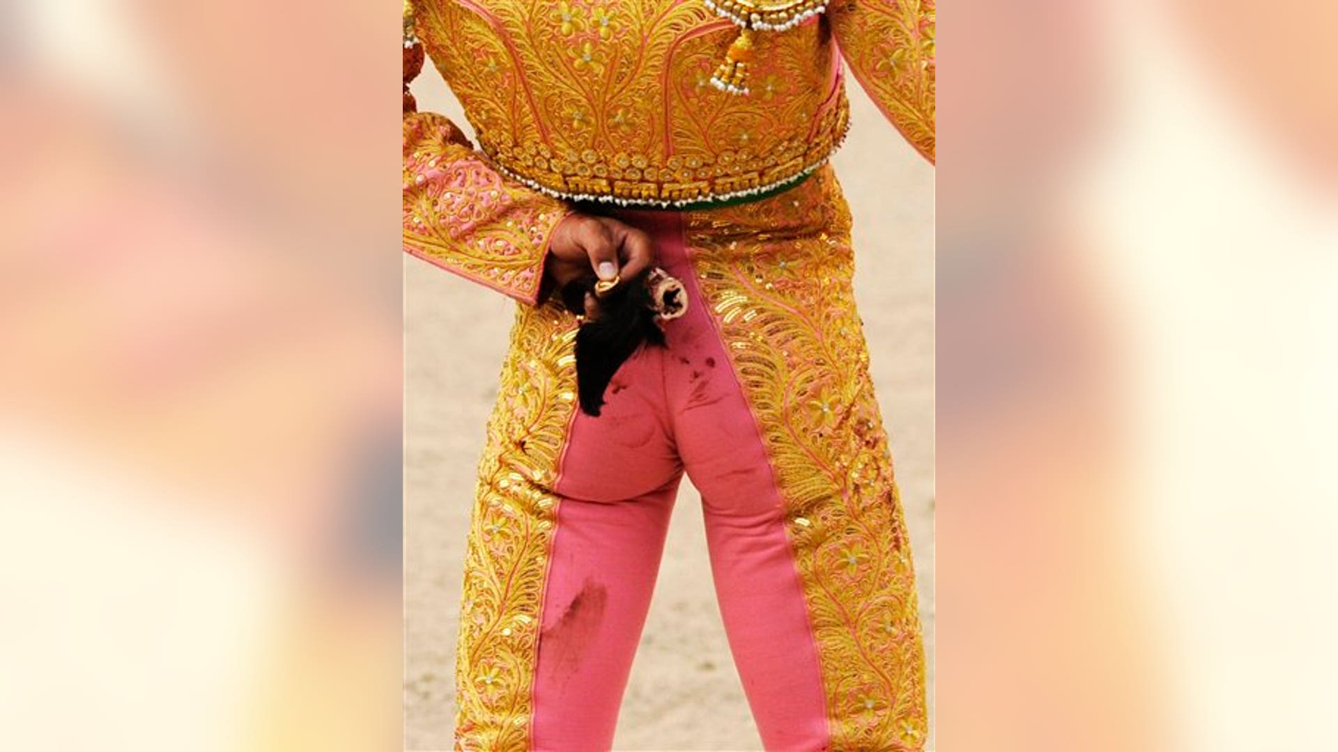 Matador Critically Injured at Bullfight | Fox News