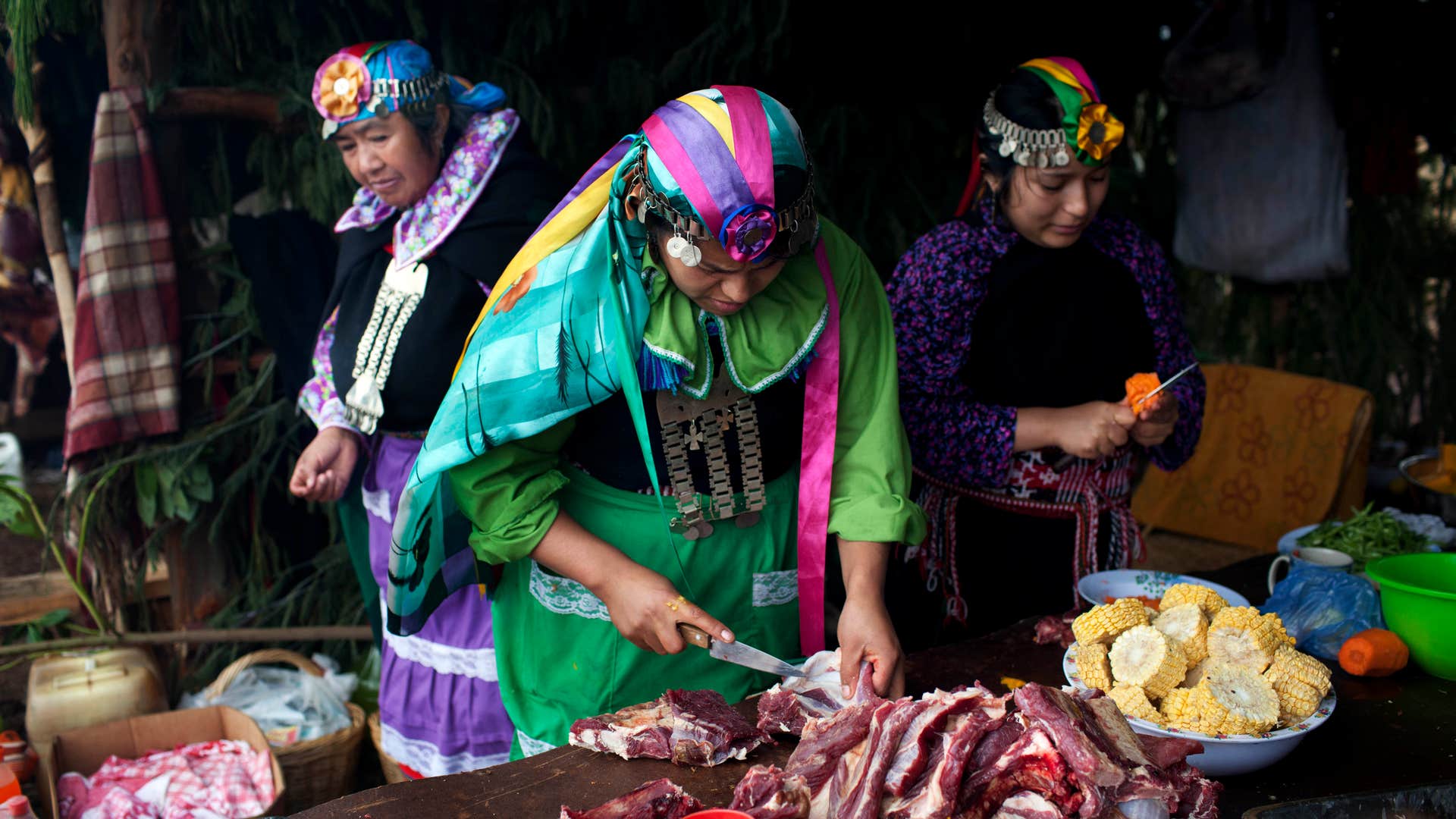 chile mapuche language panic