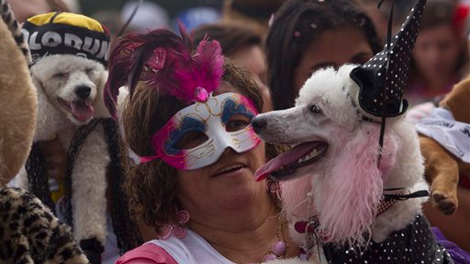 Brazil's Carnival is Going to the Dogs | Fox News