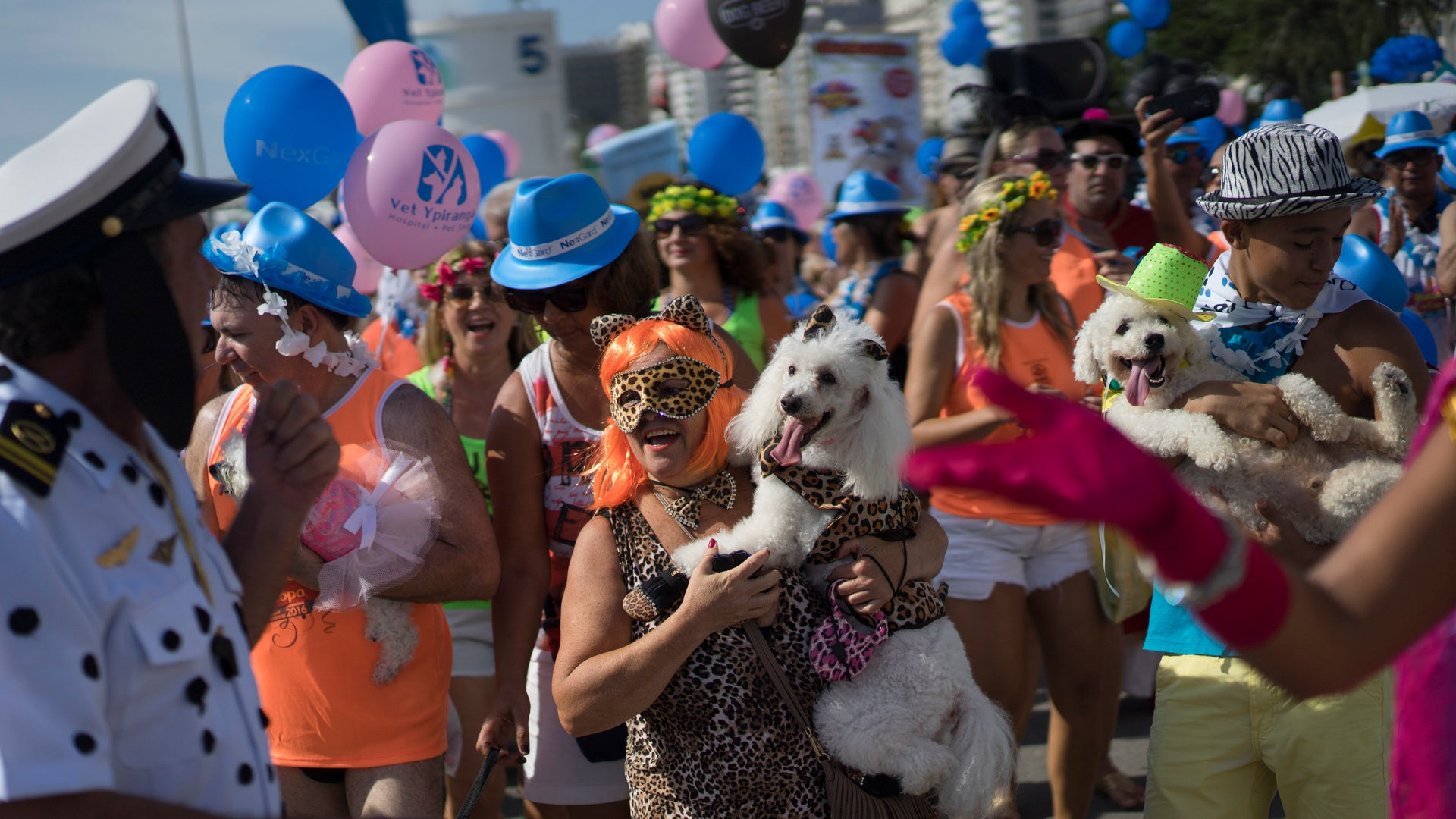Brazilian pups get their day for Carnival | Fox News