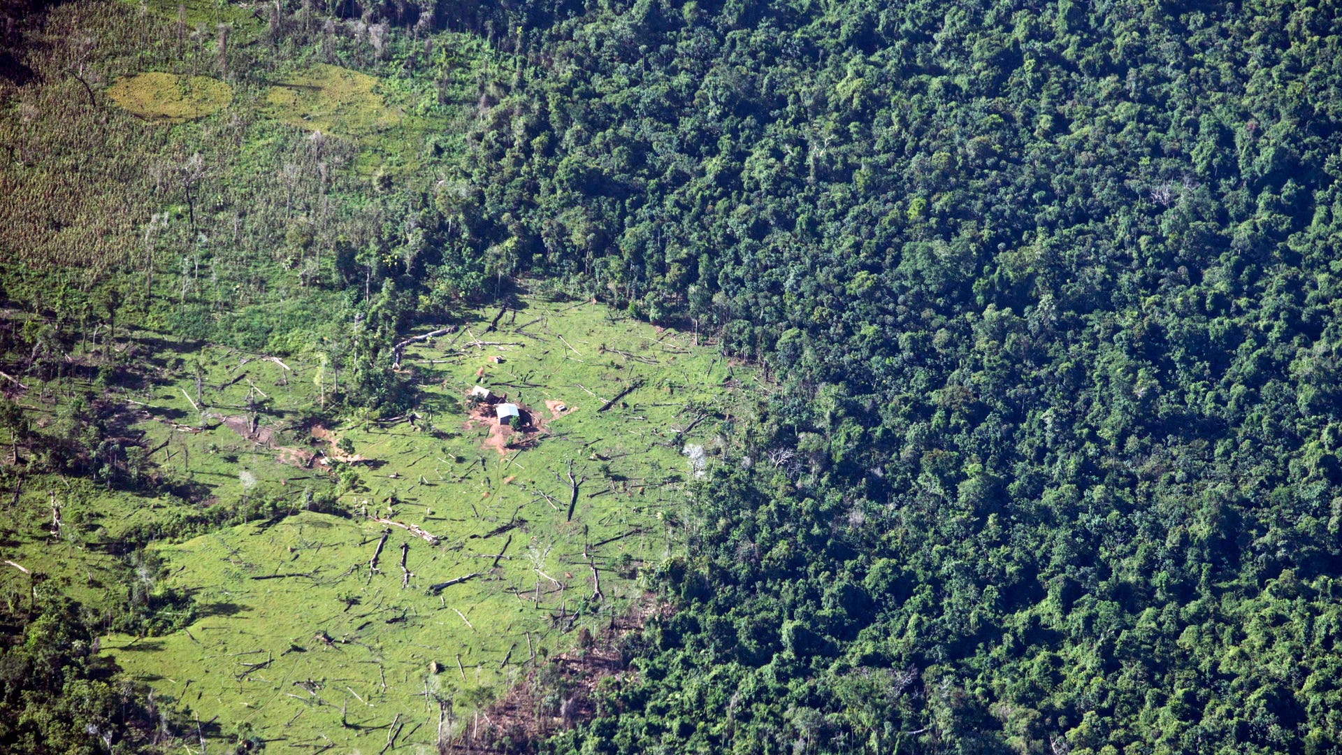 Miskito people take up in arms in Nicaragua | Fox News