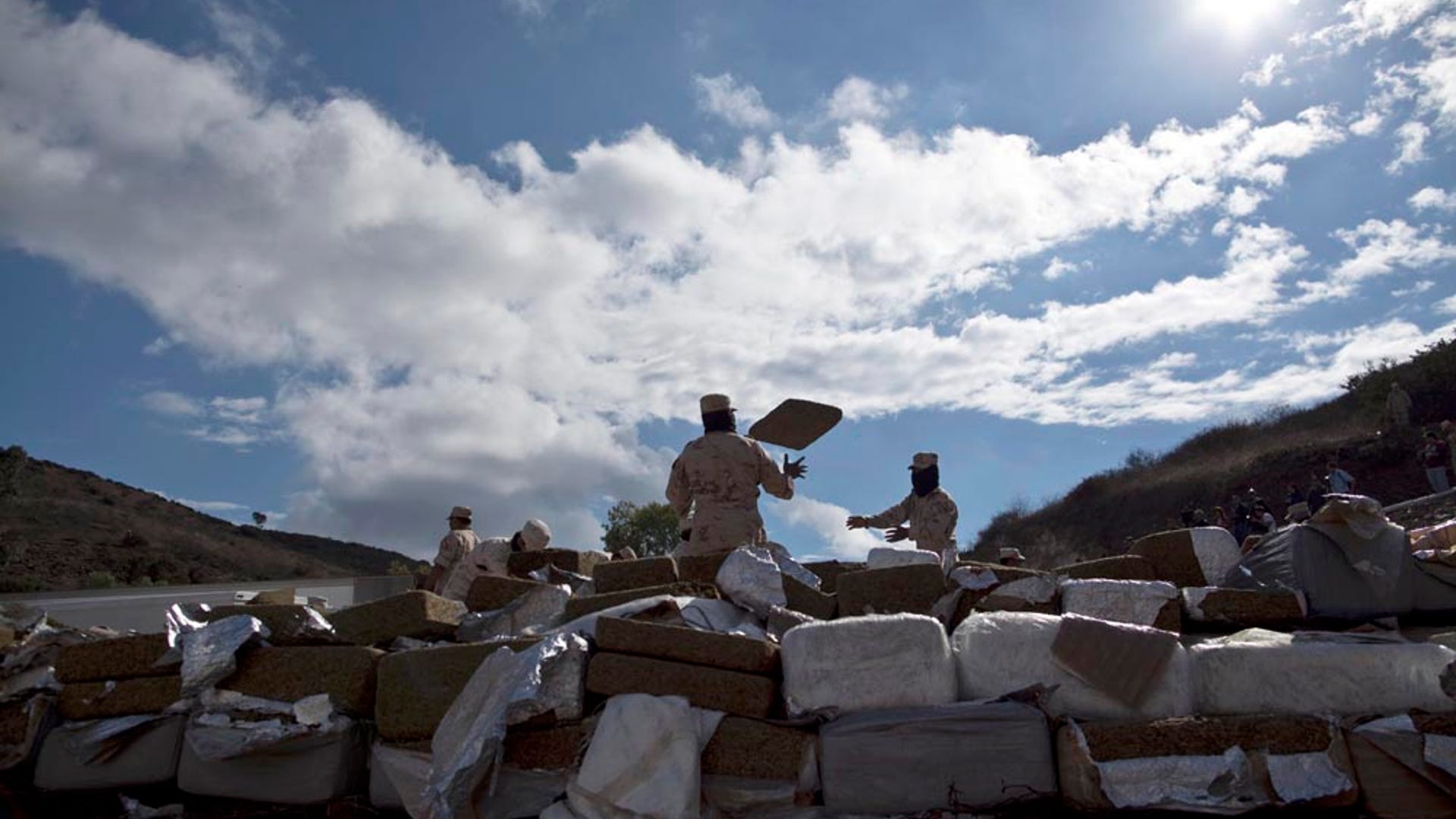 Record Pot Bust Up in Smoke | Fox News
