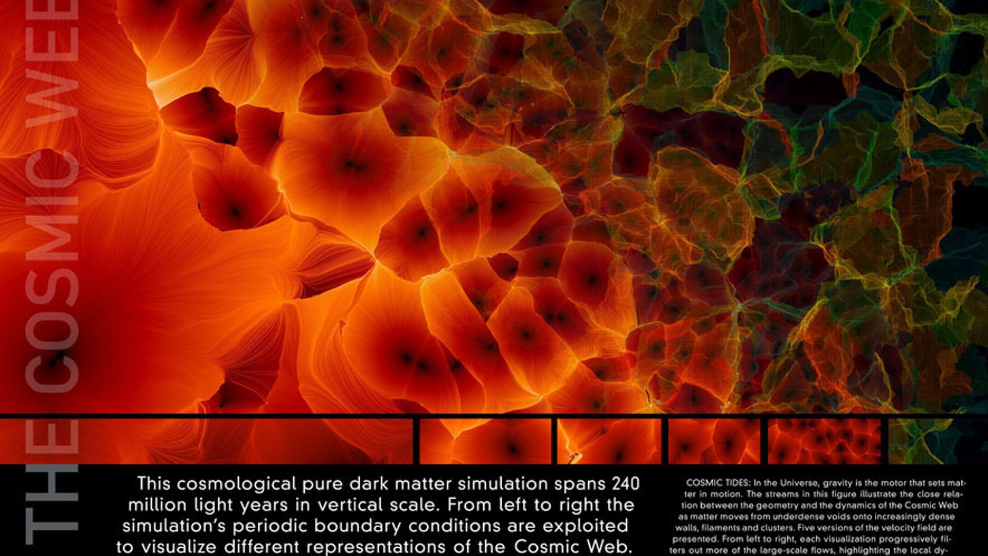The Best Science & Engineering Visualizations of the Year | Fox News