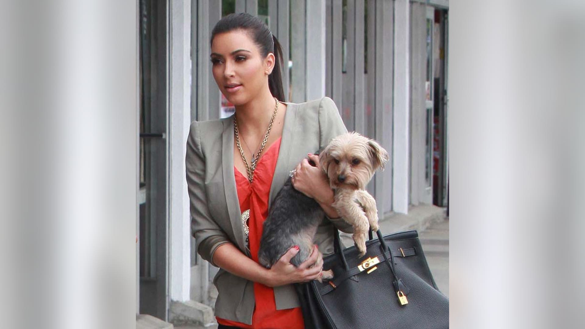 Celebrities: Cat people or dog people? | Fox News