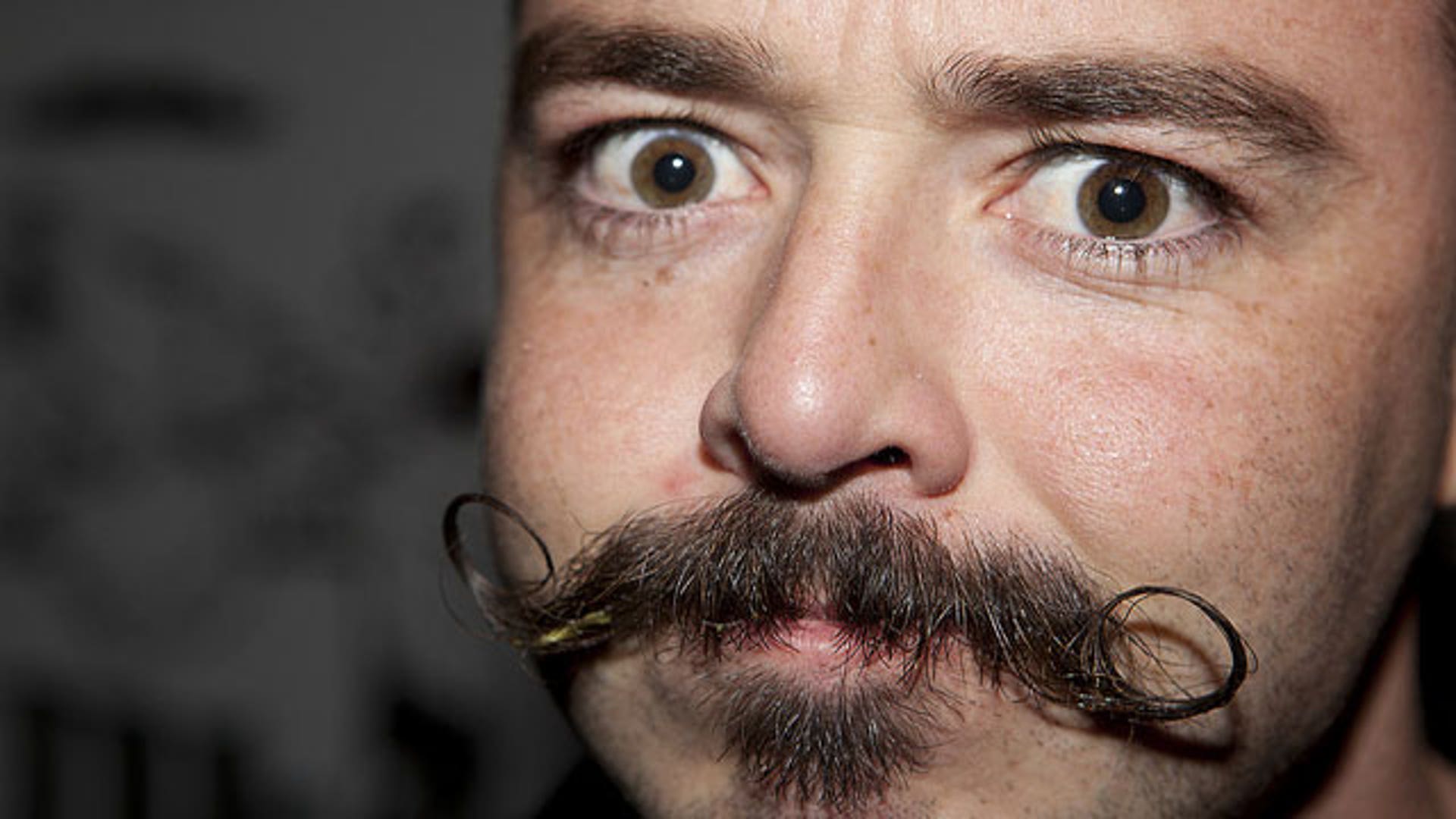Crazy Mustaches of Movember | Fox News