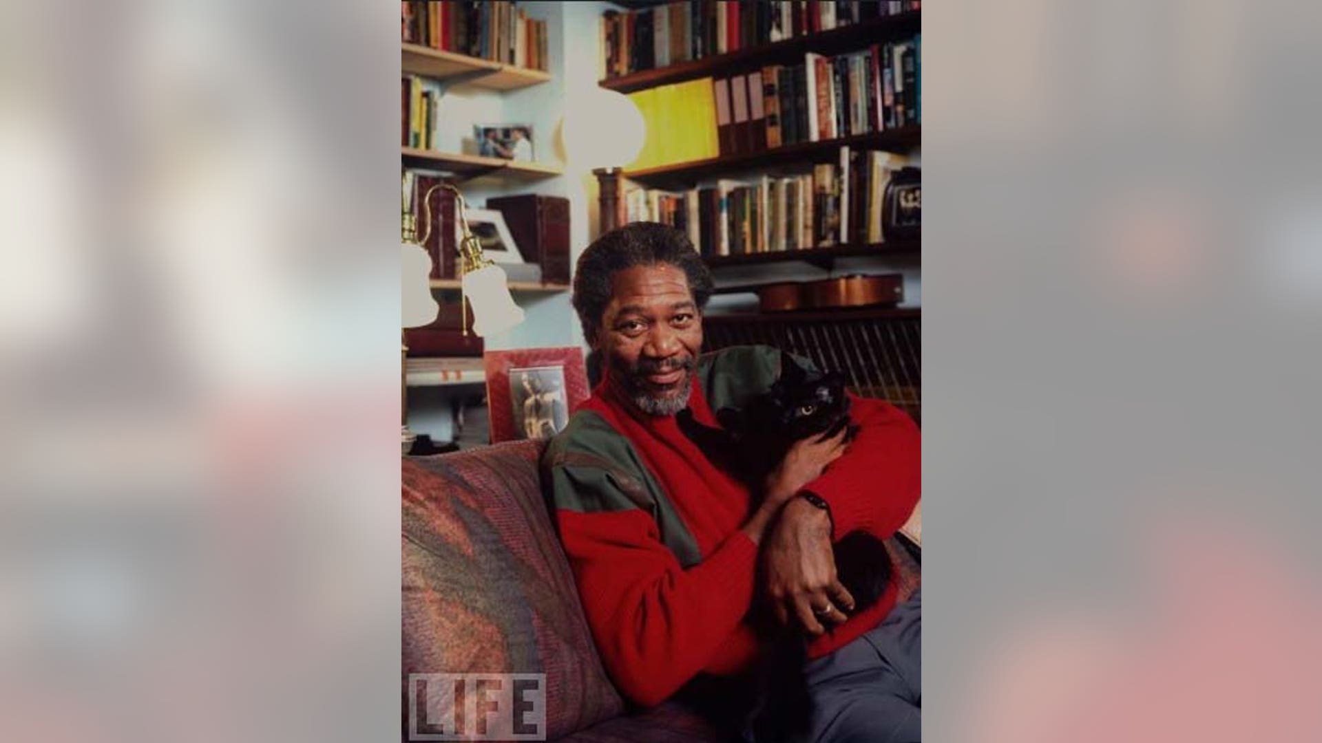 Celebrities: Cat people or dog people? | Fox News