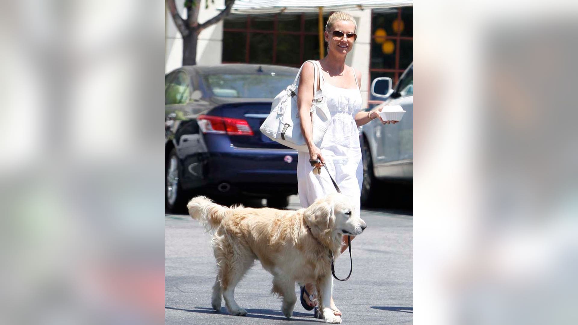 Celebrities: Cat people or dog people? | Fox News