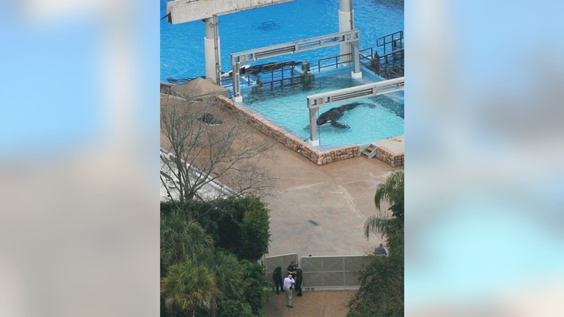 Death at SeaWorld | Fox News