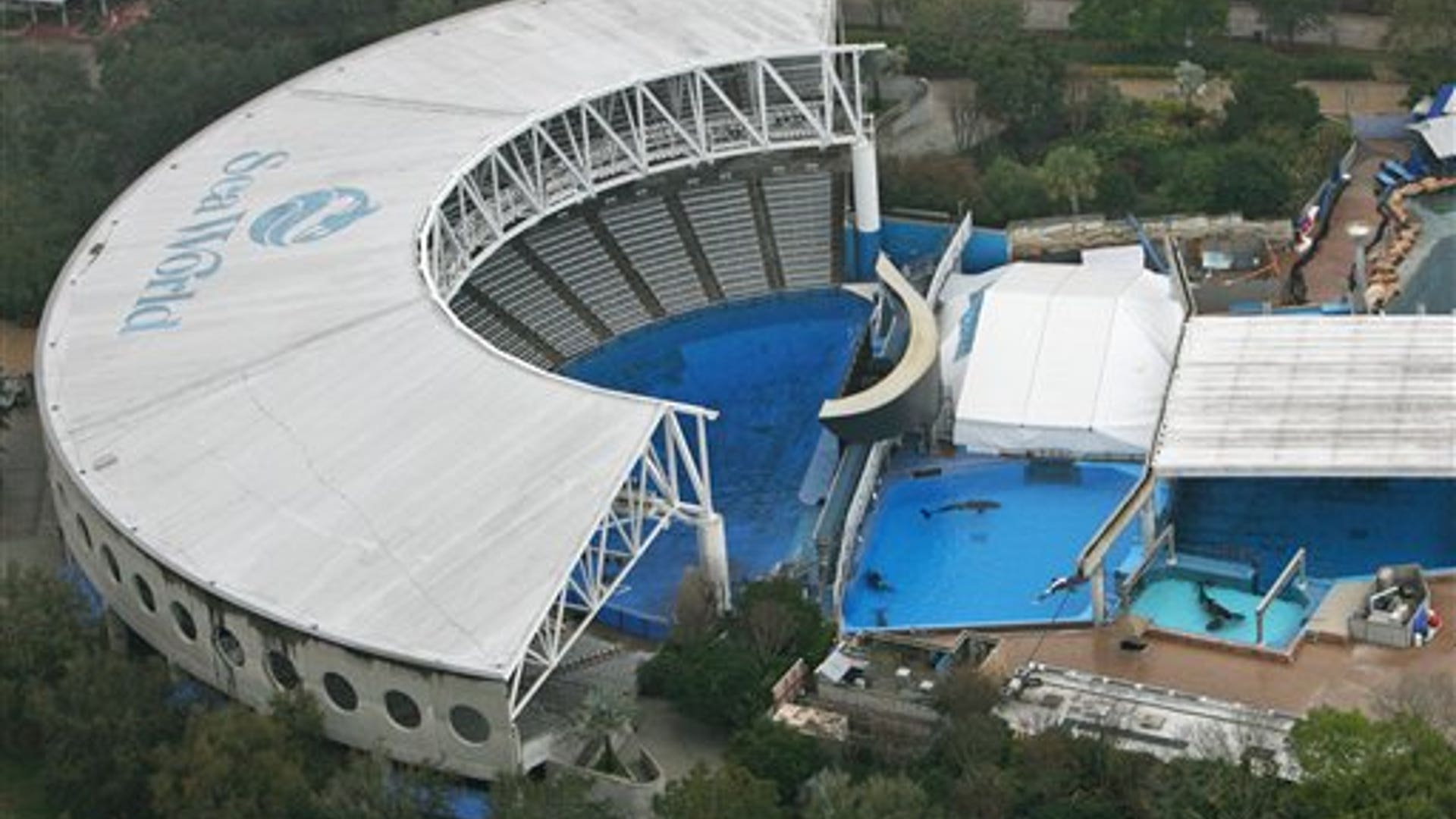 Death at SeaWorld | Fox News