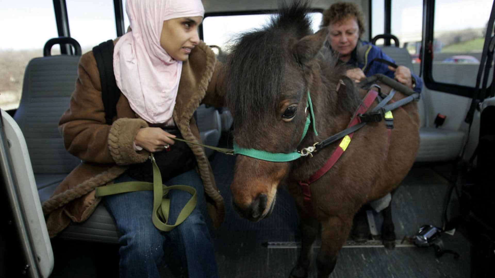 Man's best friends: 7 amazingly trained animals | Fox News