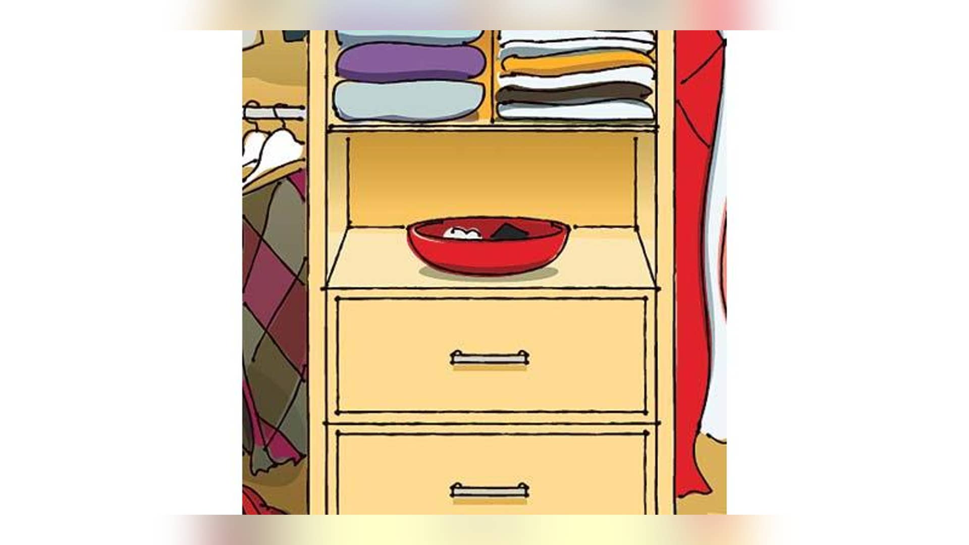 How To Gain More Closet Space Without Renovating Fox News How To Gain More Closet Space Without Renovating Fox News